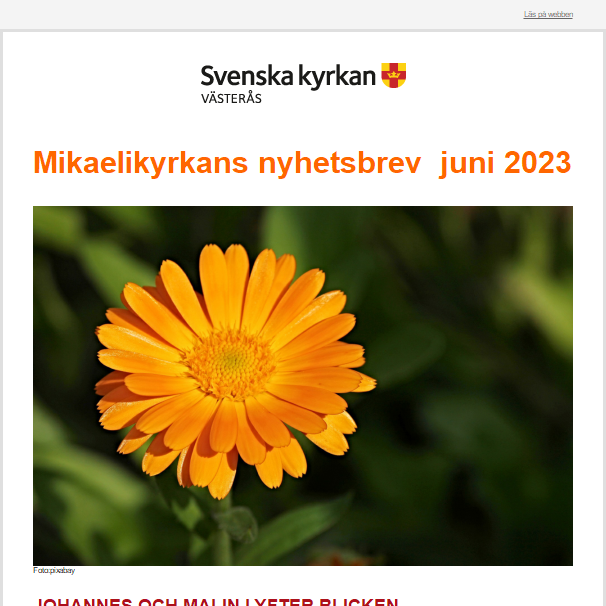nyhetsbrev juni 2023